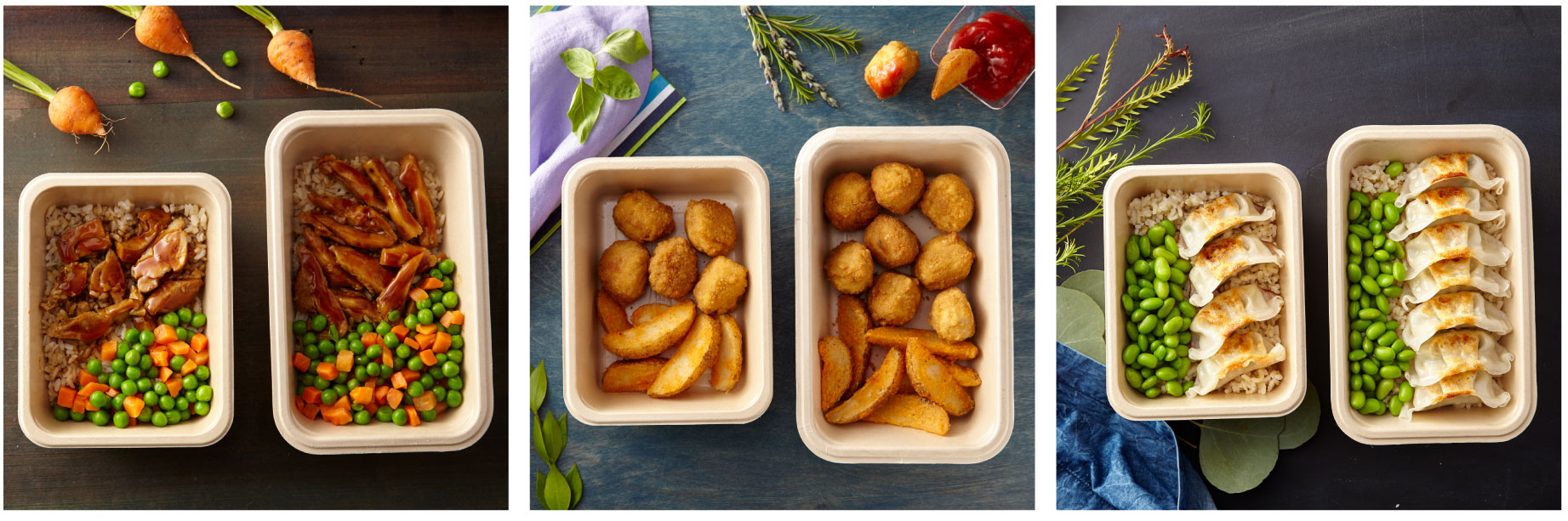 New Year New Choices 2016 New Choicelunch Programs